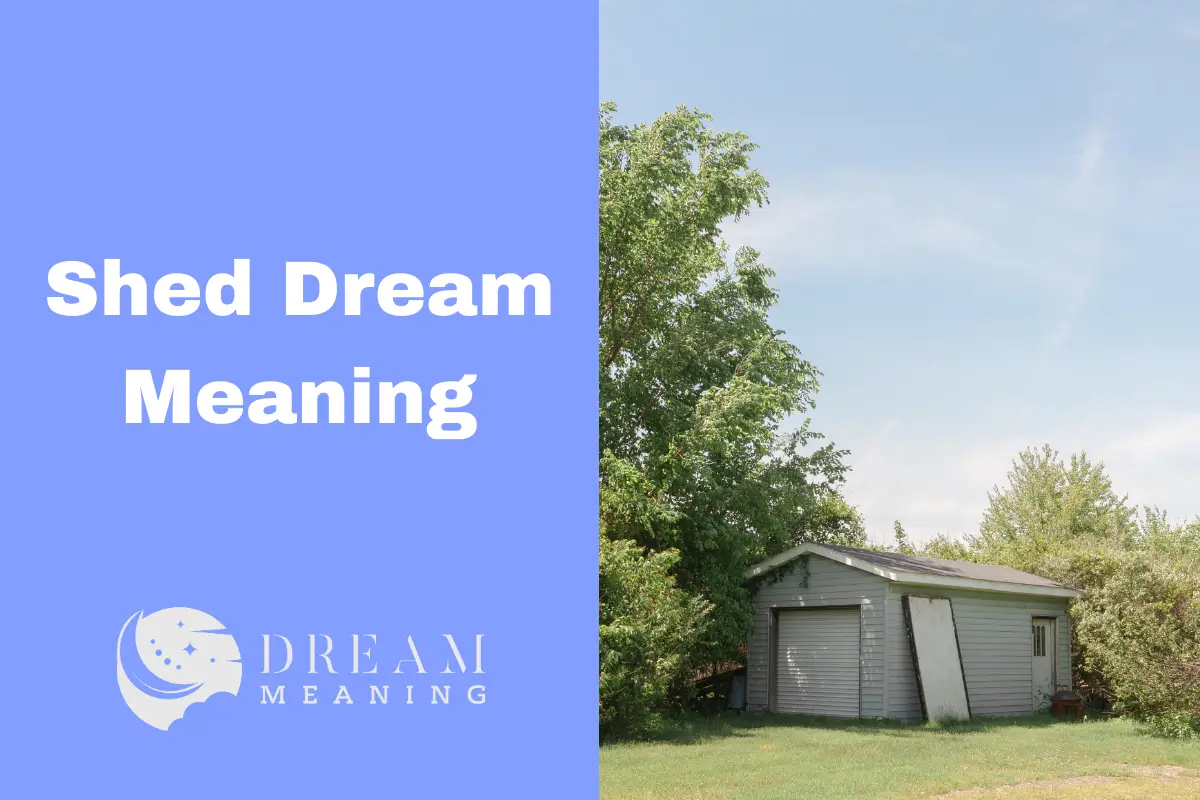 Uncovering The Shed Dream Meaning: What Does It Reveal About You? - The ...
