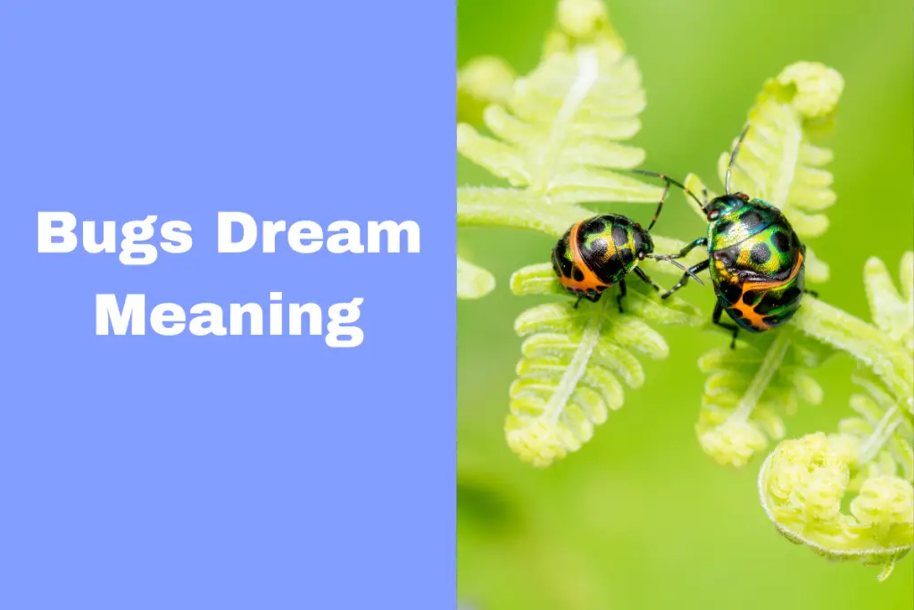 Unlock The Mystery Of Bugs In Dreams: What Does It Mean? - The Dream ...