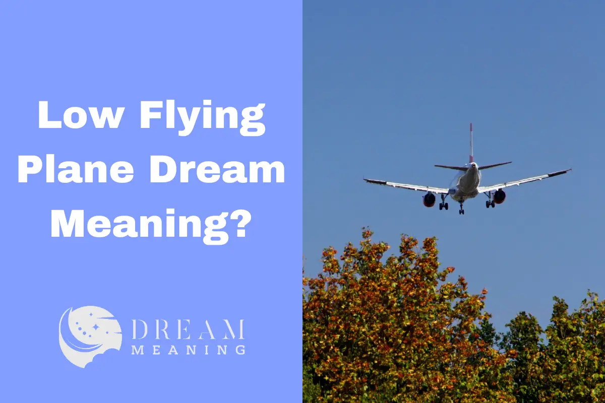 Dream Interpretation: What Does A Low Flying Plane Mean? - The Dream ...