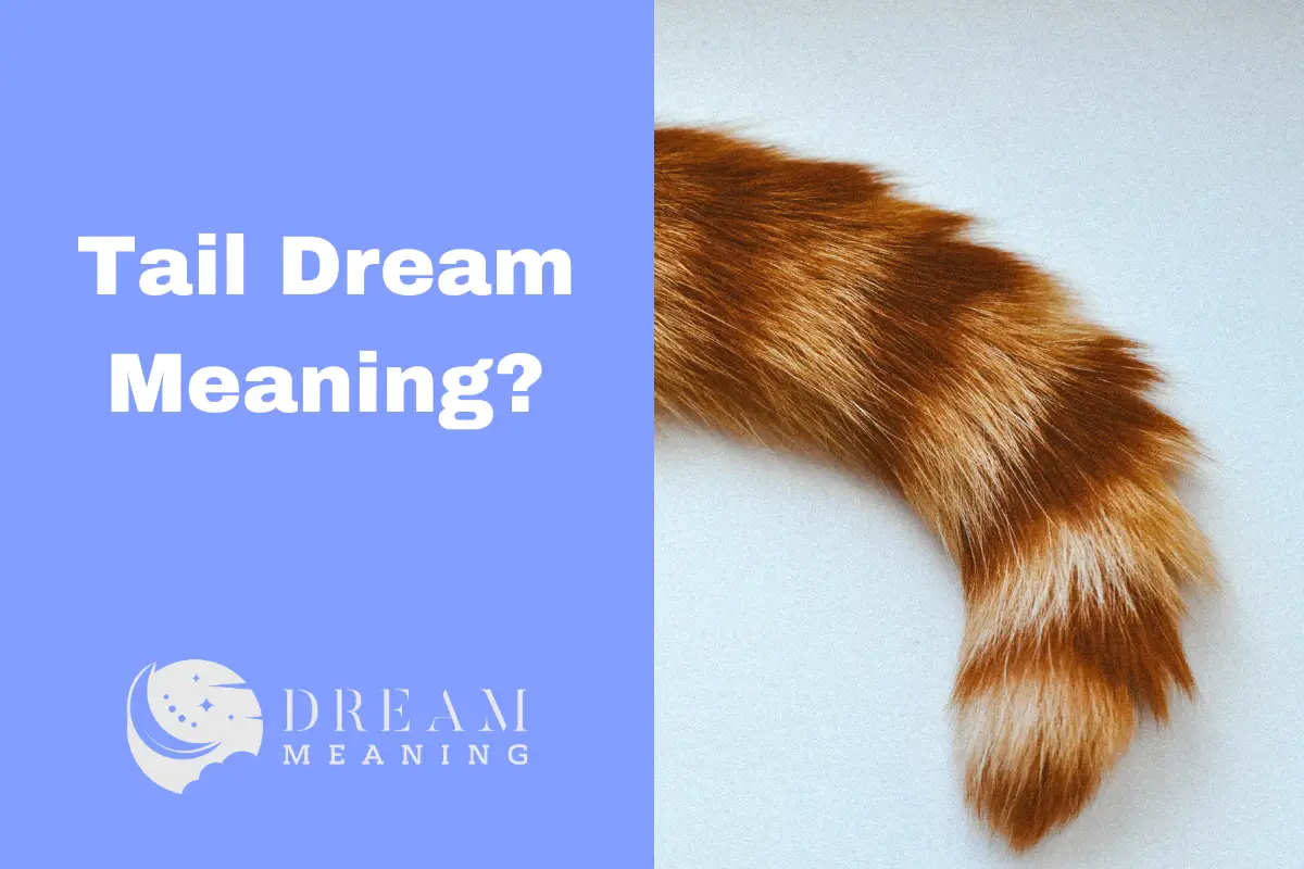 Dream Meaning Of Tail: Uncover The Secret Message In Your Dreams - The ... Dream Meaning Of Tail: Uncover The Secret Message In Your Dreams - The ...